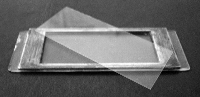 EL ZOOPLANCTON MARINO: zooplancton 2014 - Investigacion Cientifica III