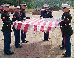 The Green Scene: Revisitng How to Retire an American Flag: 2015