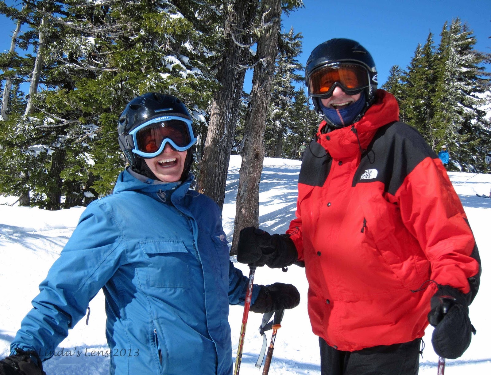 Linda's Lens: The Bra Tree and Katie's Sled Ride