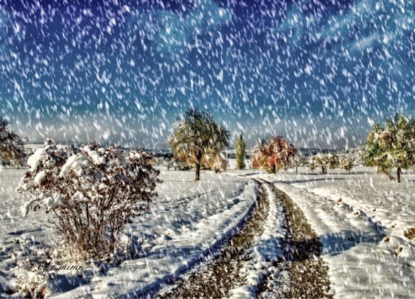 cuvinte alese vorbe intelepte: Când crivatul cu iarna... de Mihai Eminescu