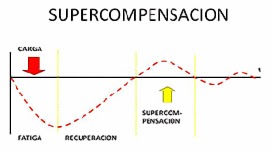 Nada es imposible, solo entrenable: ¿Qué es la supercompensación?