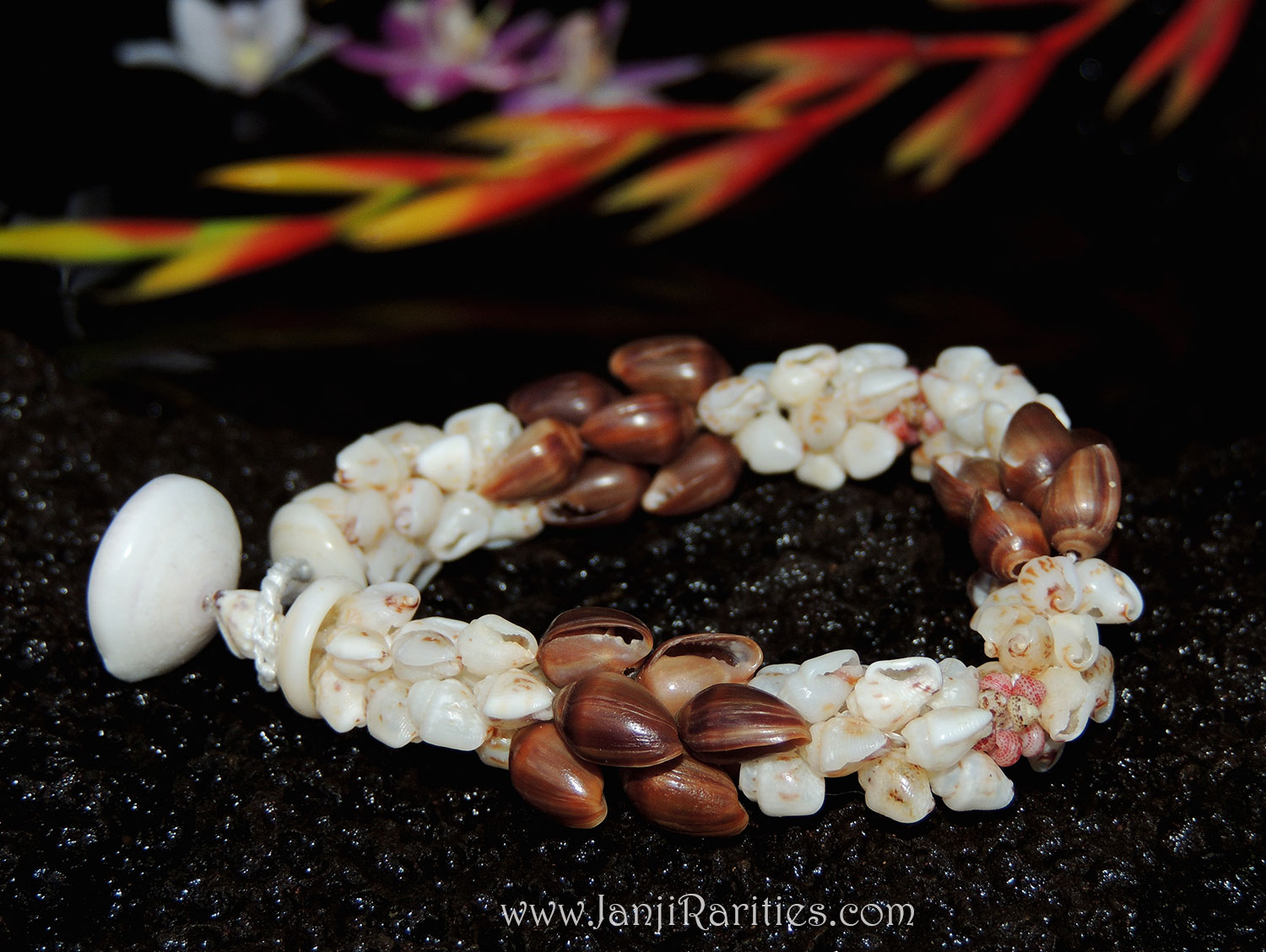 Kahelelani & Sunrise shell jewelry by.... Janjira: Hawaiian shell bracelets