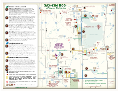 Laura's Birding Blog: Tips for Birding in the Bog