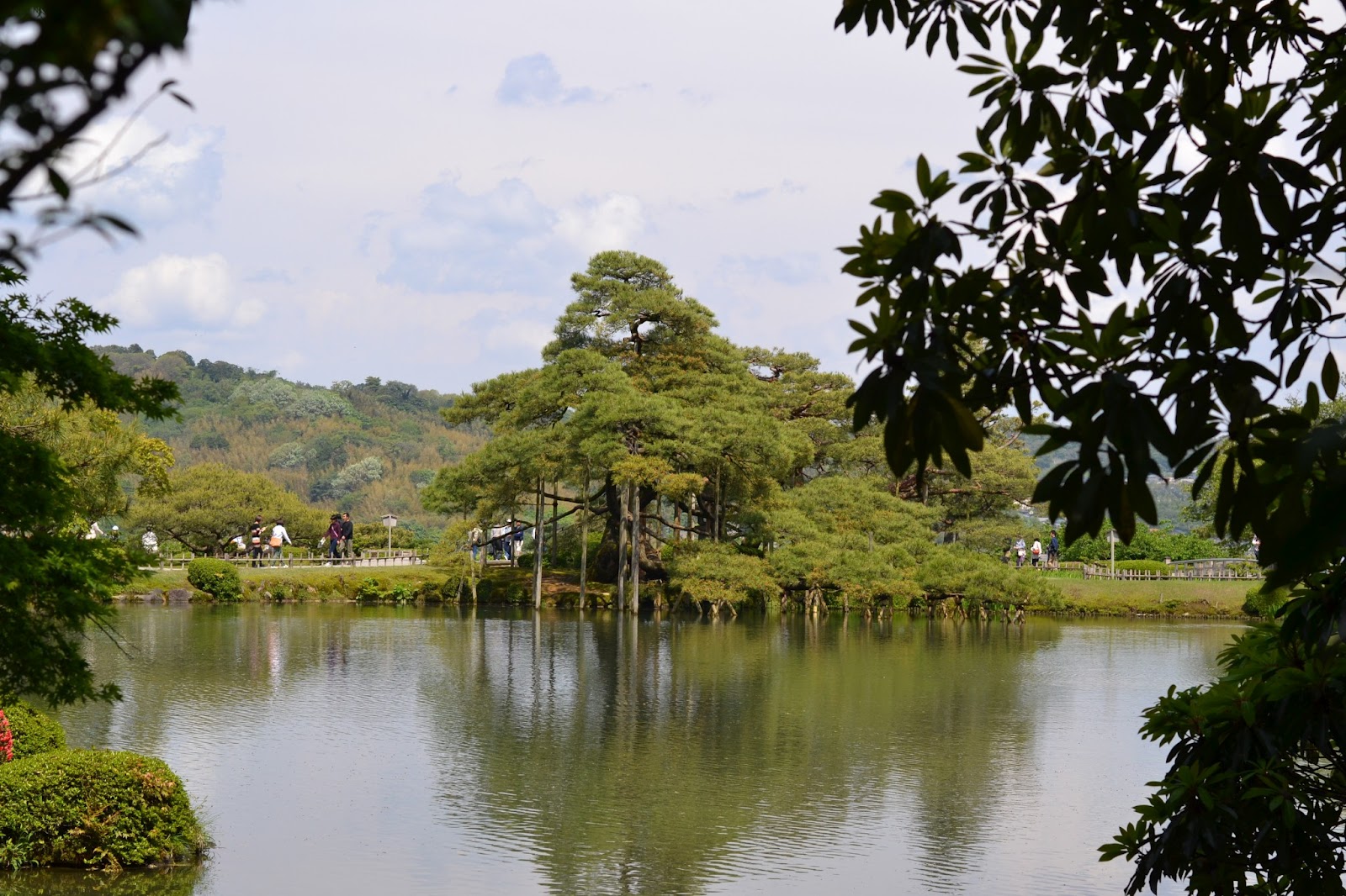 Victoria In Japan Land: Kenrokuen Gardens: The Karasaki Matsu Tree