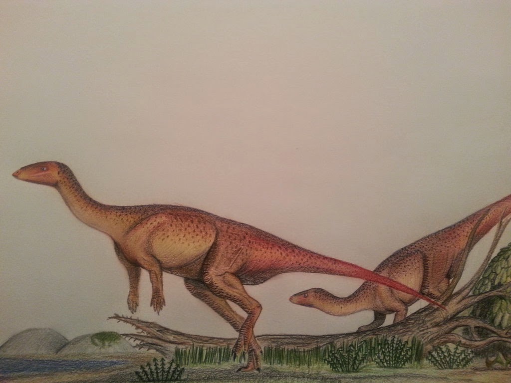 Dos micro-relatos sobre Eousdryosaurus , el pequeño ornitópodo ...