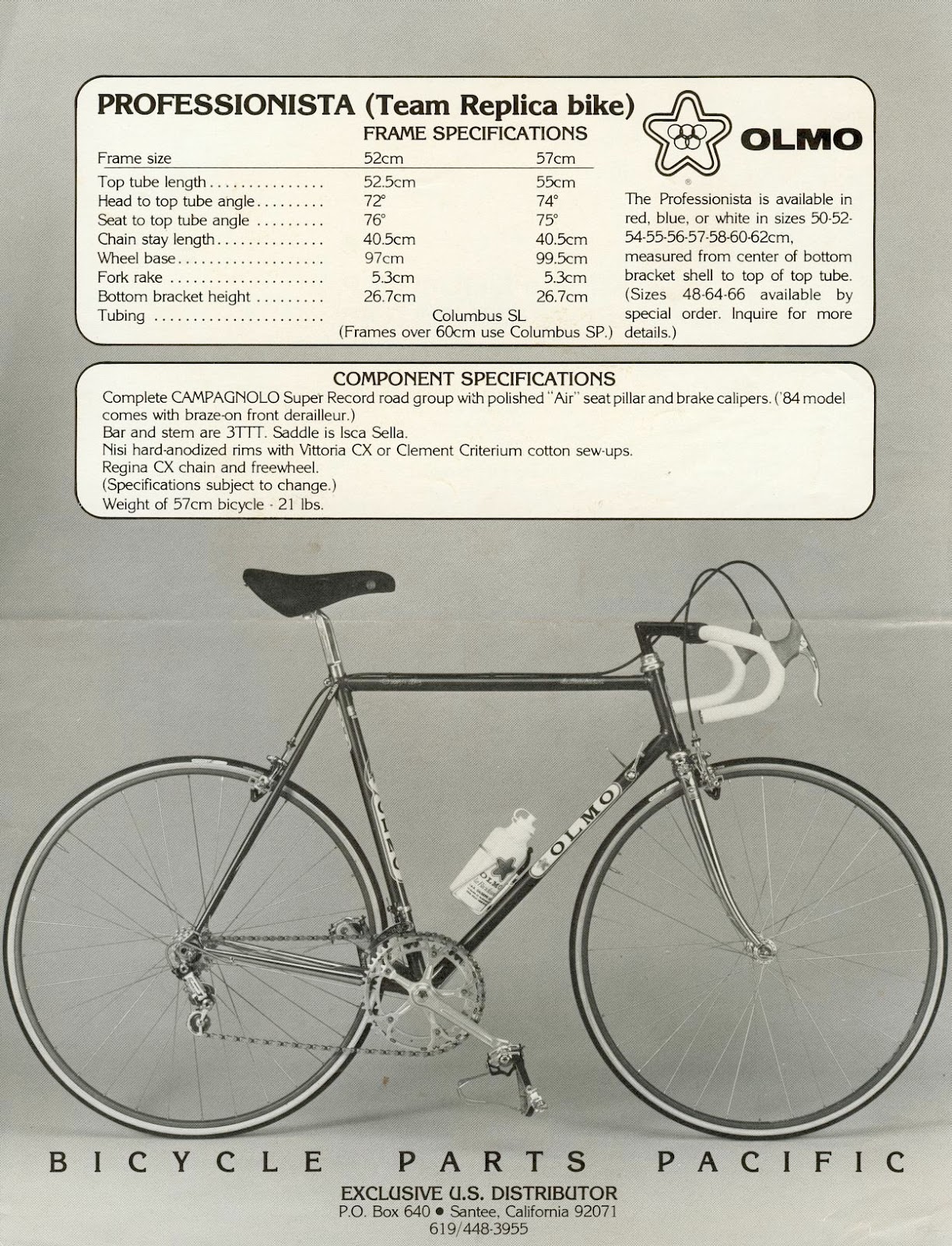 CATALOGUES OLMO: OLMO 1984