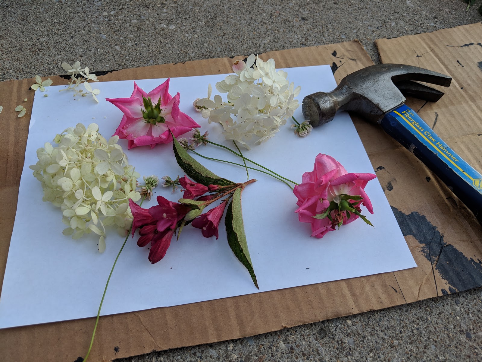 Flower Transfer Nature Art Activity, Hammer Away!