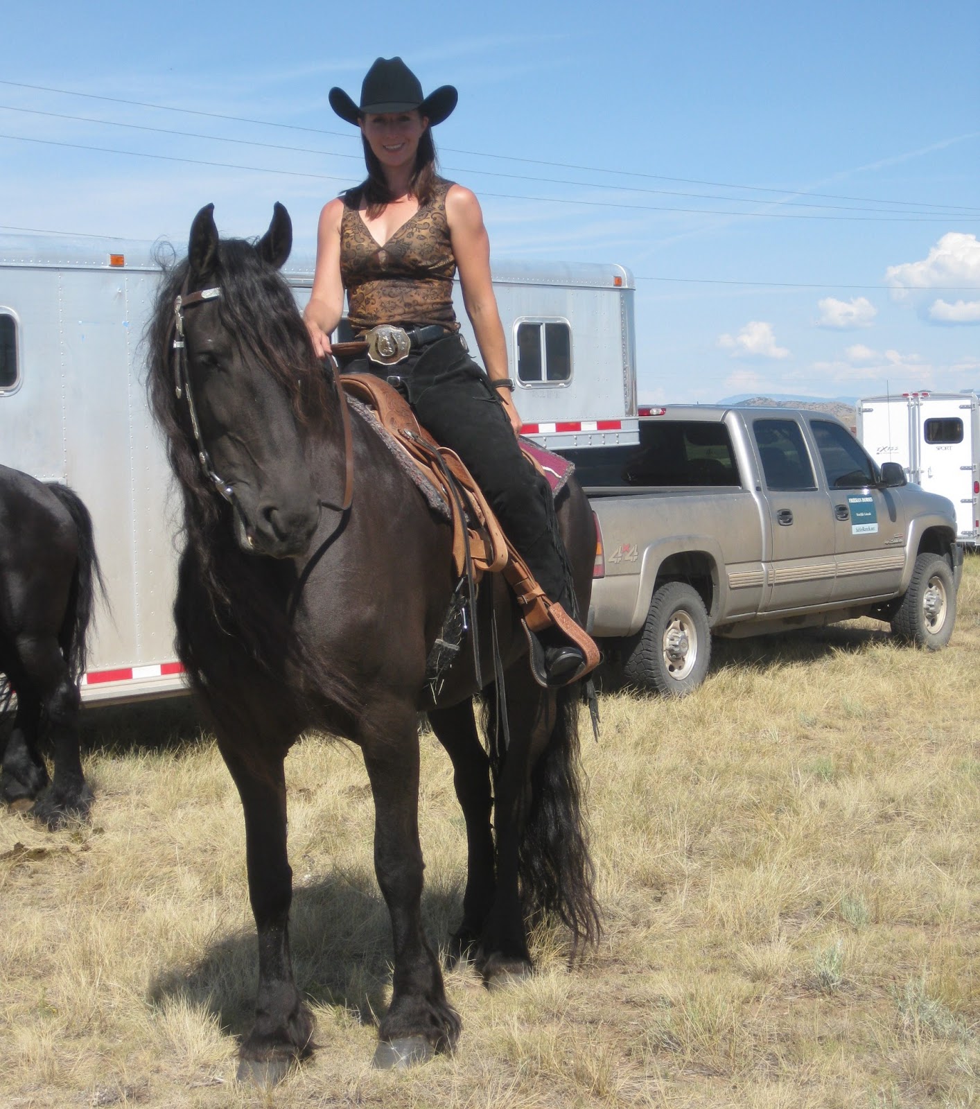 Sable Ranch Friesian Horses: Friesians...what they can do