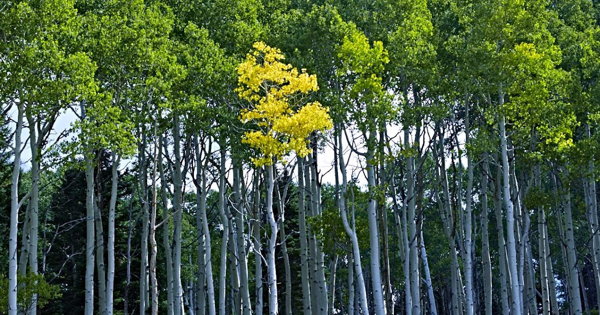 라이브카지노【°→https://pauio.com/live/←°】월드카지노 코리아카지노 아시안카지노