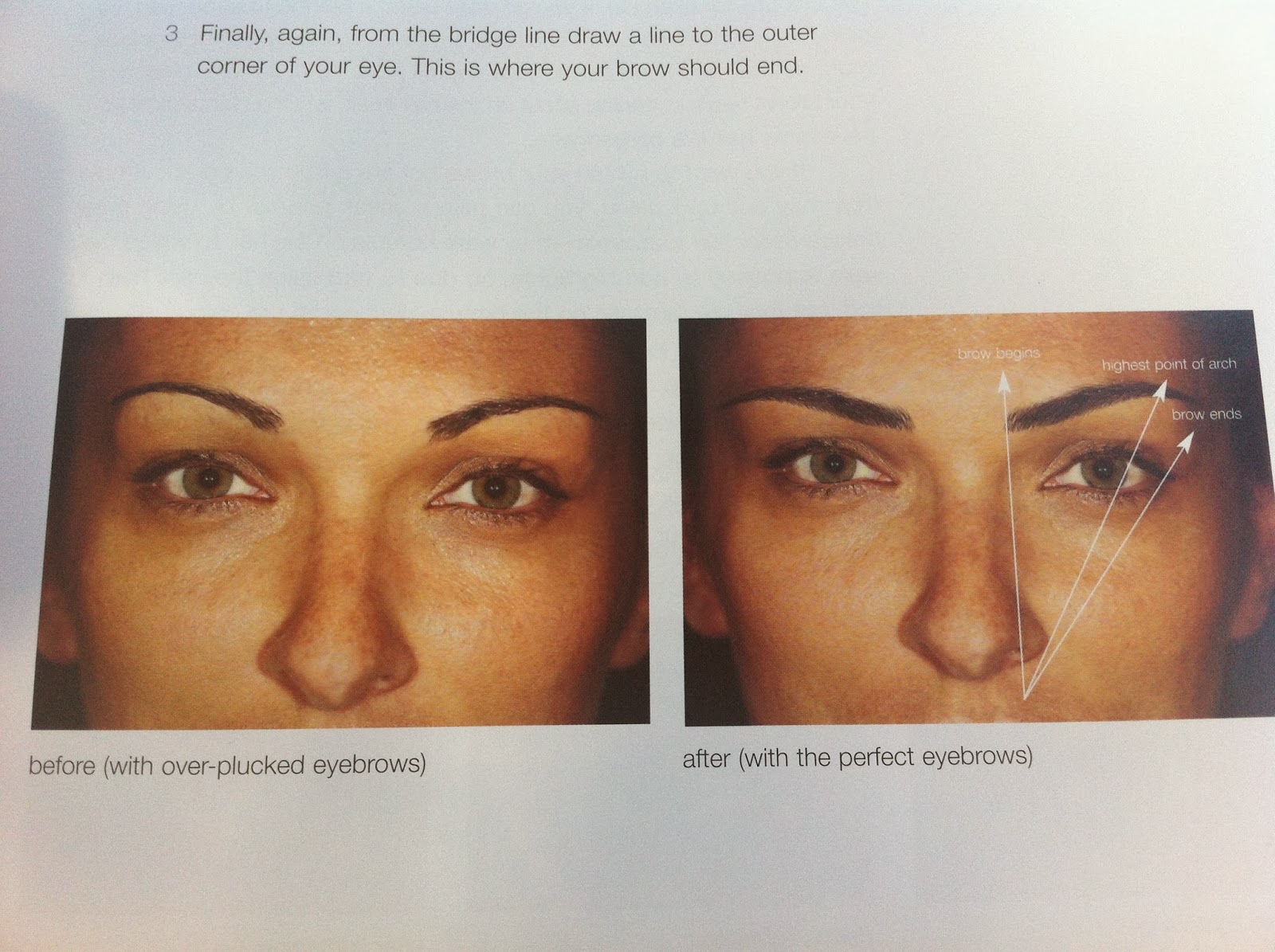 Libro Makeup the ultimate Guide