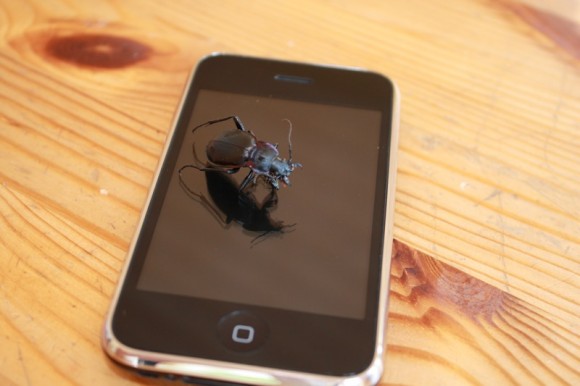 IPhoneExpertos: Algunos bugs del iPhone