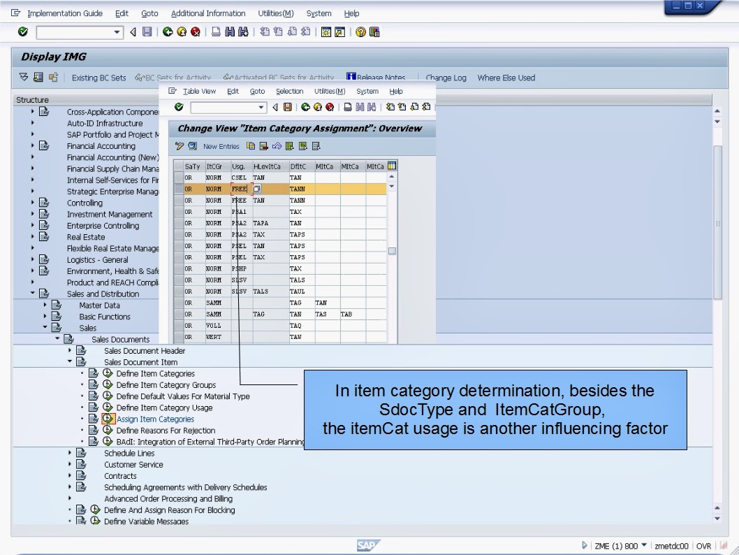 青蛙SAP分享 Froggy's SAP sharing: SD Item Category Determination (Usage)