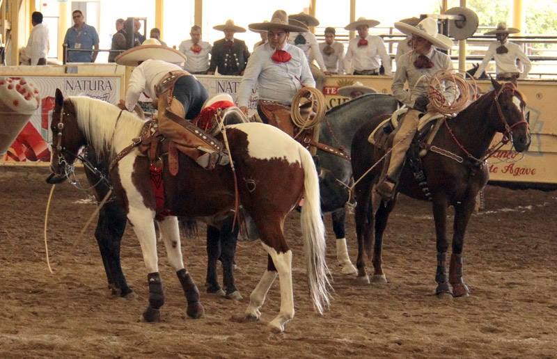 DIMENSION Real de Colima: CHARRERIA