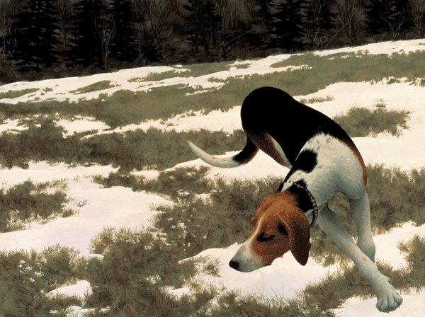 Alex Colville | Magic Realist painter | Tutt'Art@ | Pittura * Scultura ...