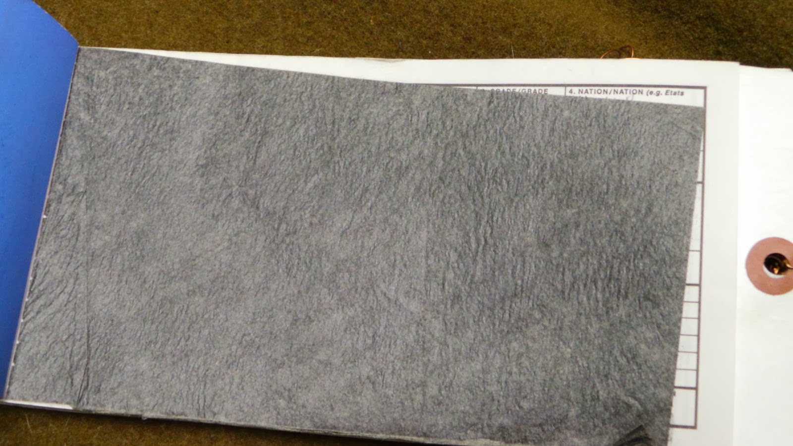 Webbingbabel: US Army / USMC Field Medical Cards