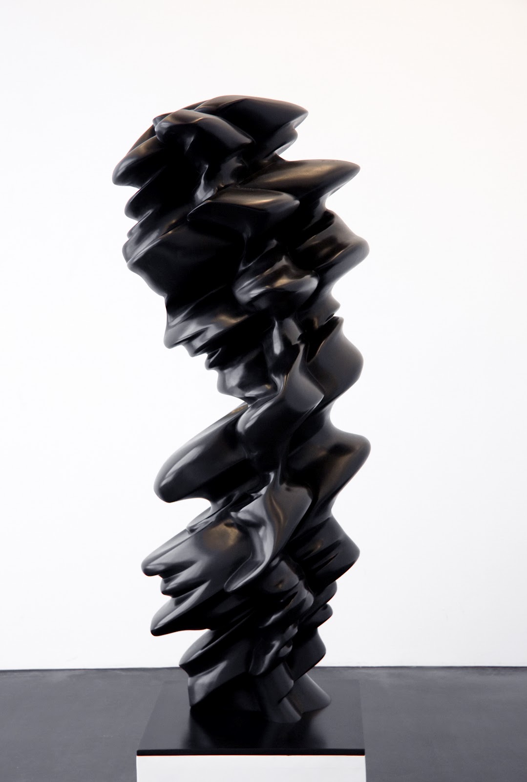 MENTAL IMAGE: Tony Cragg
