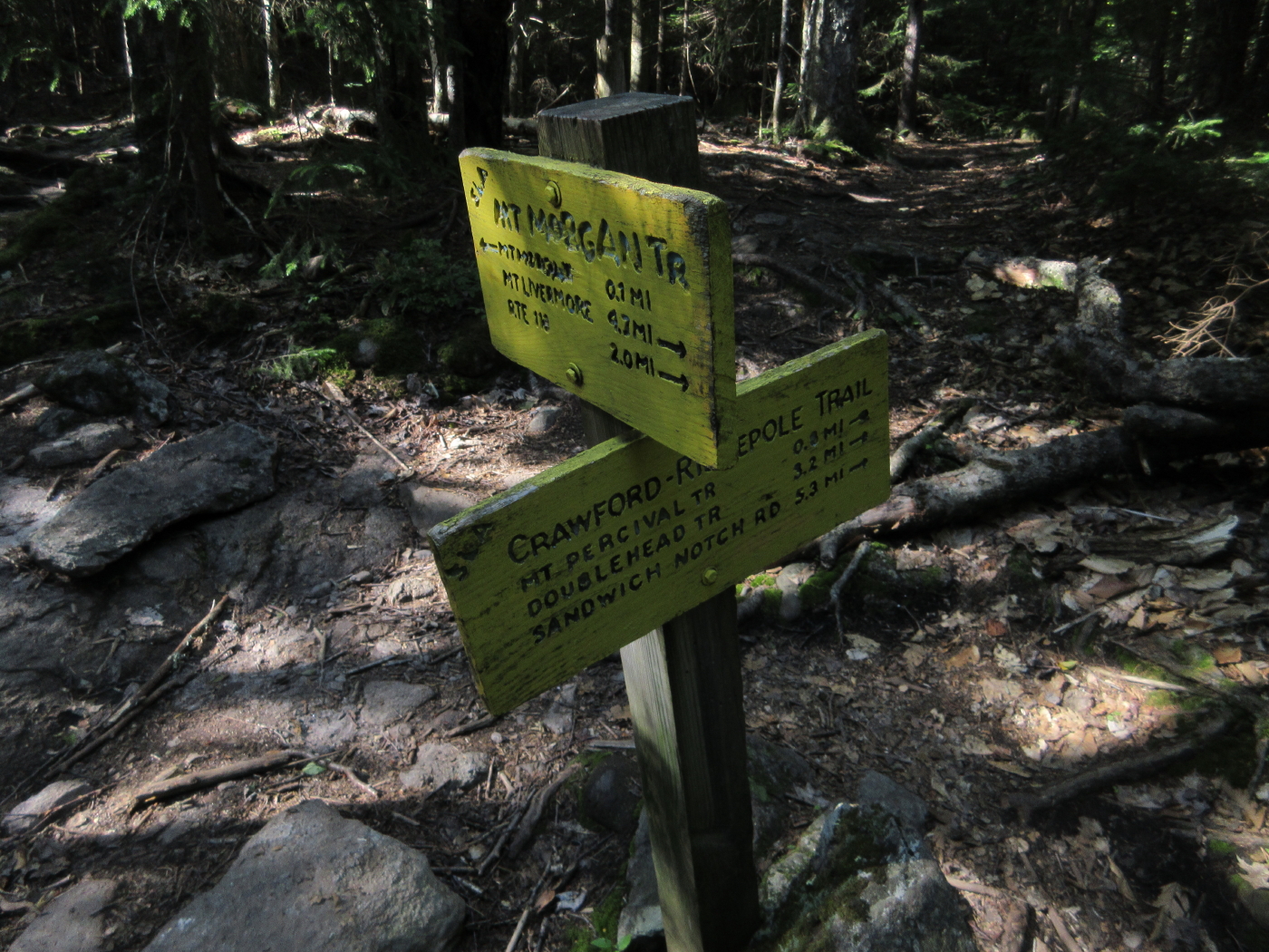 Mountain Wandering: MT. PERCIVAL-MT. MORGAN LOOP: 8/9/17