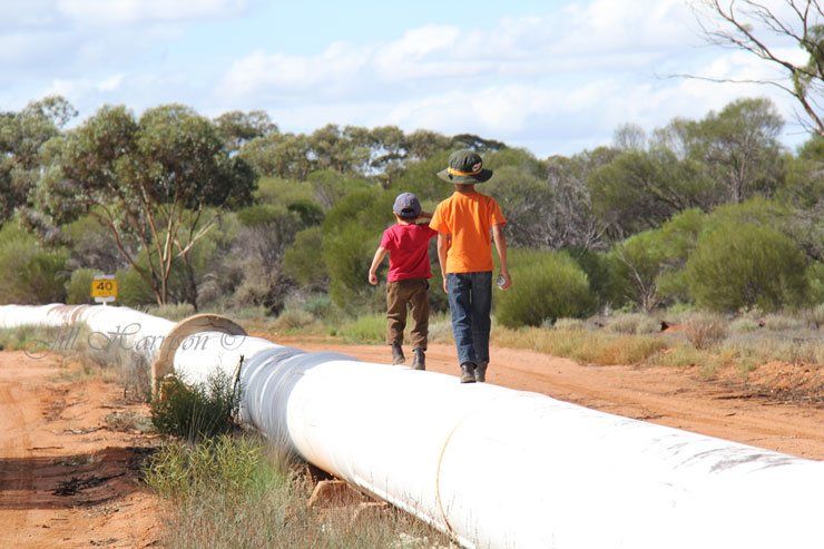 Life Images by Jill: The need for water on the goldfields - Perth to ...