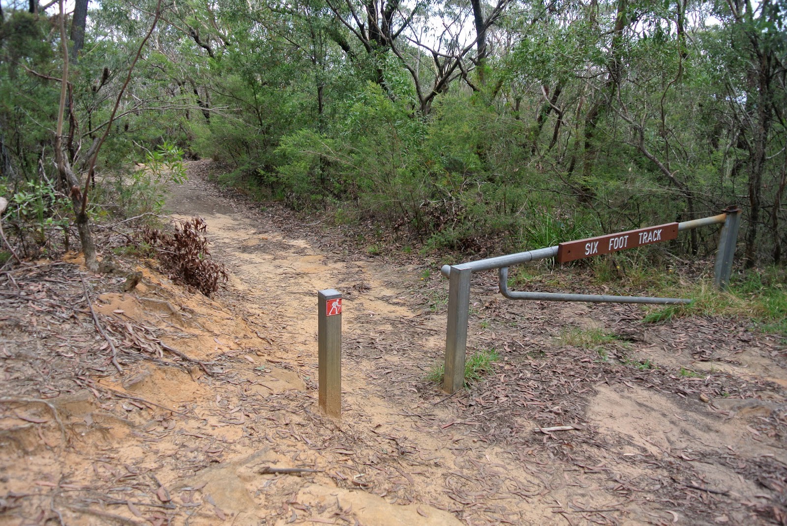 Girl Hiking in the Shires : 6 Foot Track, New South Wales, Australia ...