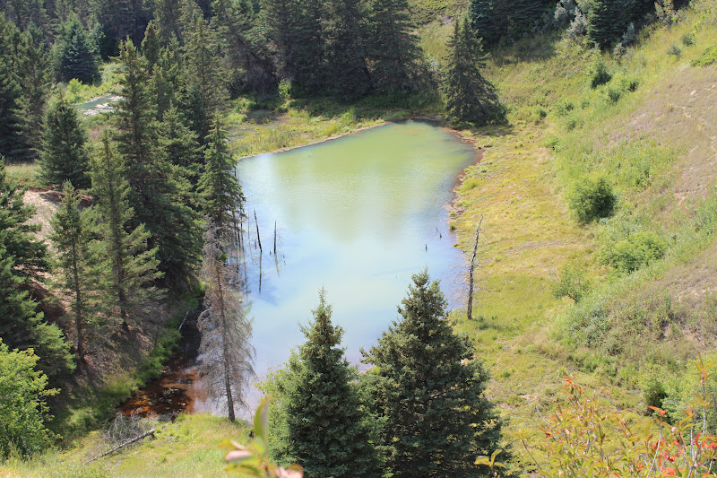 Flanigan's North American Adventure: Brookdale, Manitoba