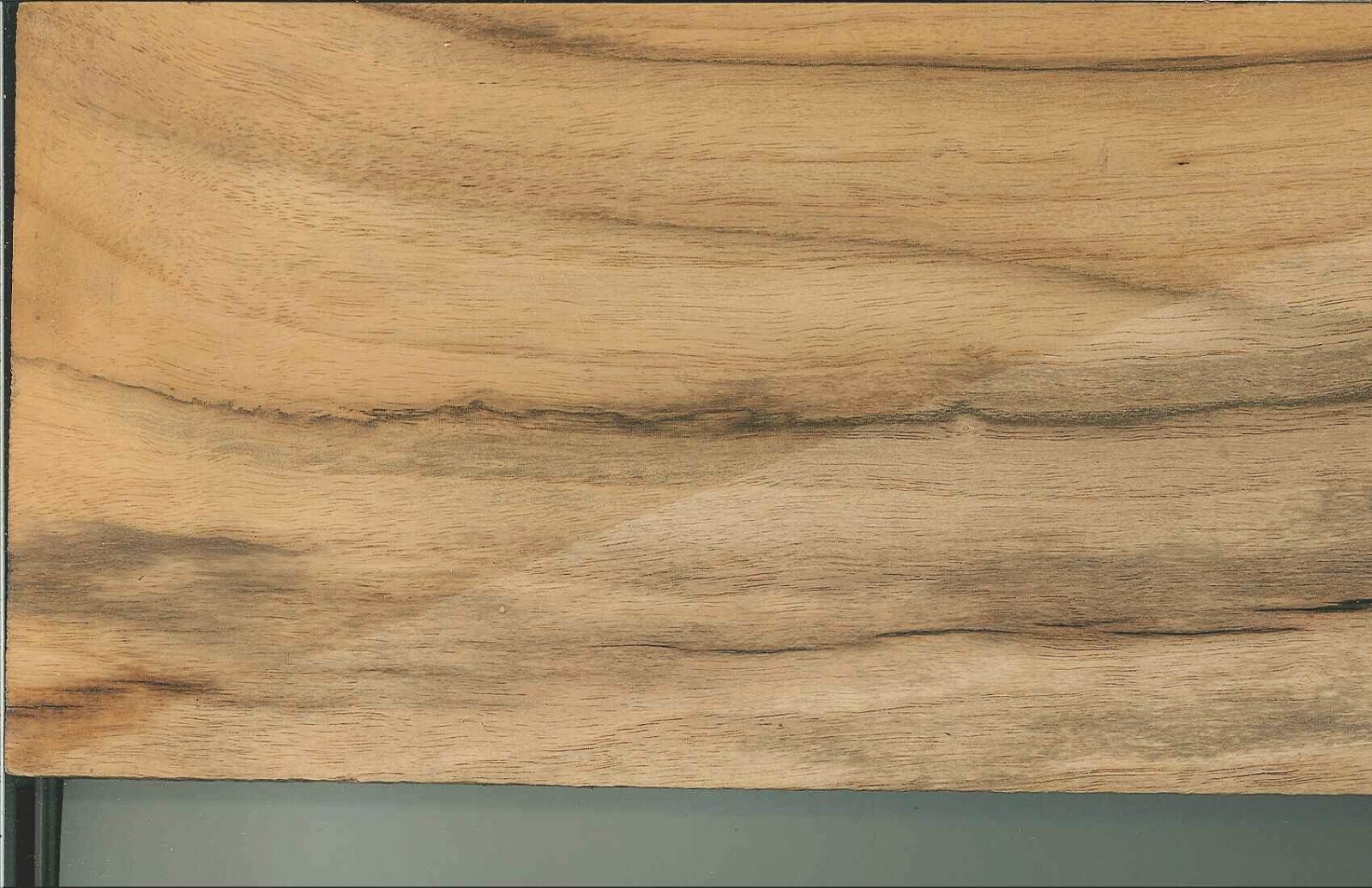 Lumber Logs' blog: working notes: persimmon