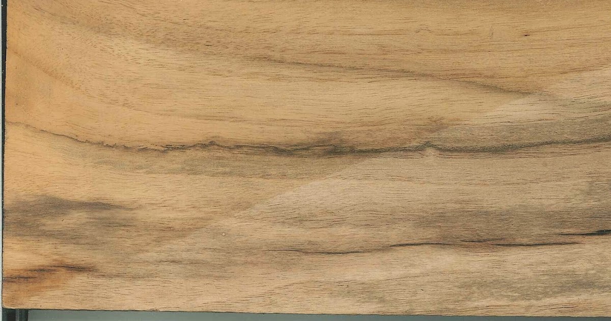 Lumber Logs' blog: working notes: persimmon