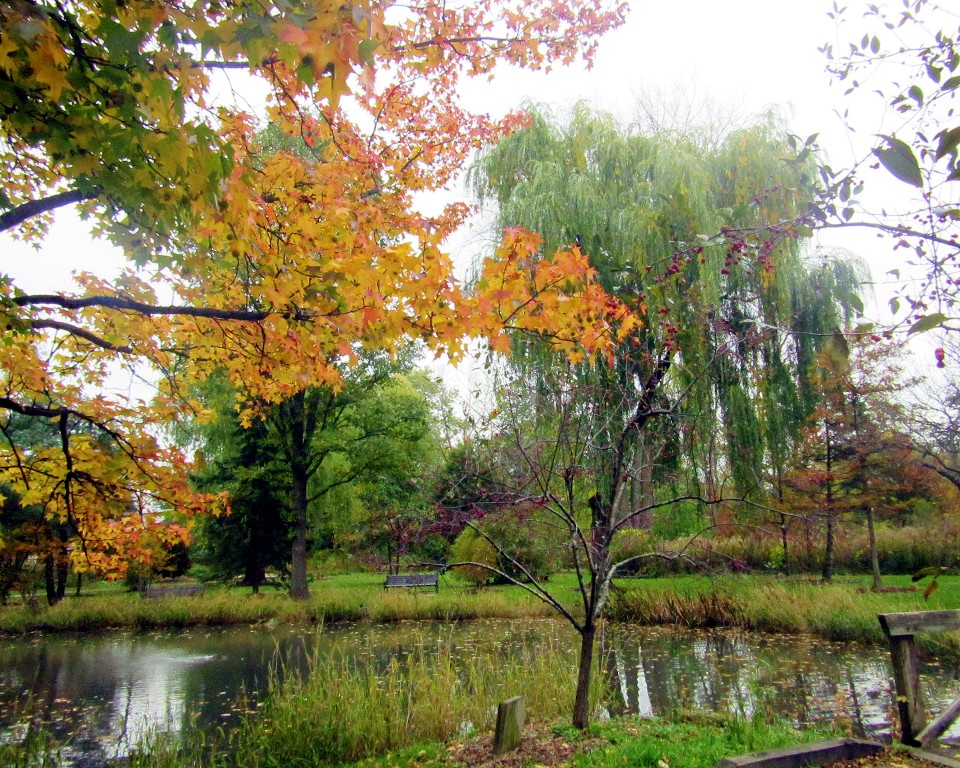 Seth Saith: Saturated Nature - A Photo Gallery