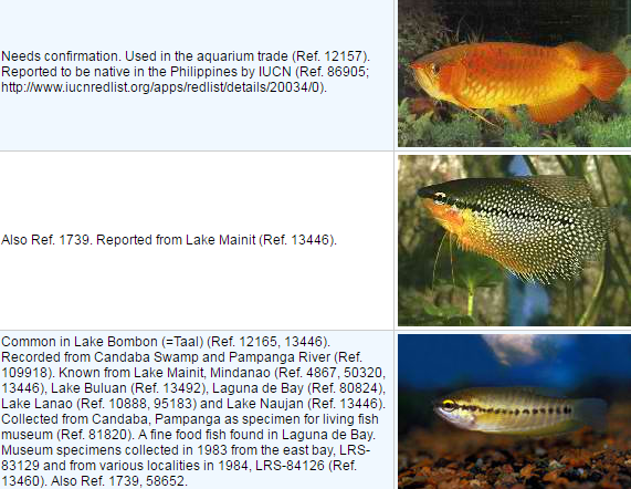 List of Introduced Fish in the Philippines