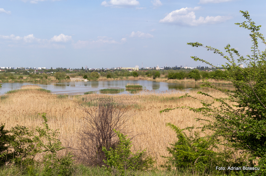 Poveştile mele: Locuri de vizitat in Bucuresti – Lacul Morii si ...