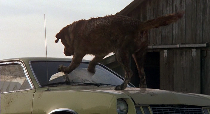 REDRUM tu blog de cine, series, novelas, y otros vicios: "CUJO" ya ...