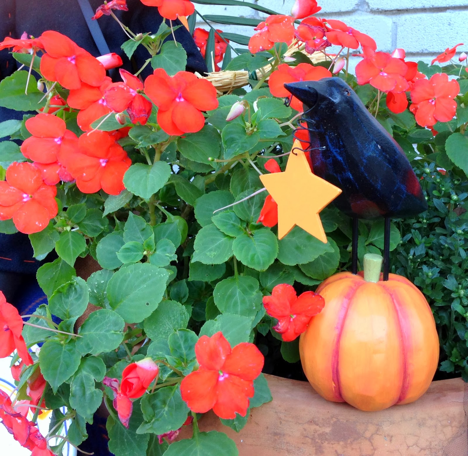 Eat, Drink, and Be Witchy - HYACINTHS FOR THE SOUL