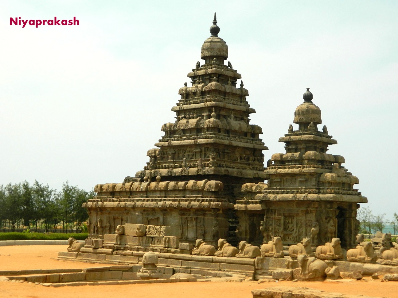 Niya's World: Photos of Shore Temple, Mamallapuram / Mahabalipuram ...