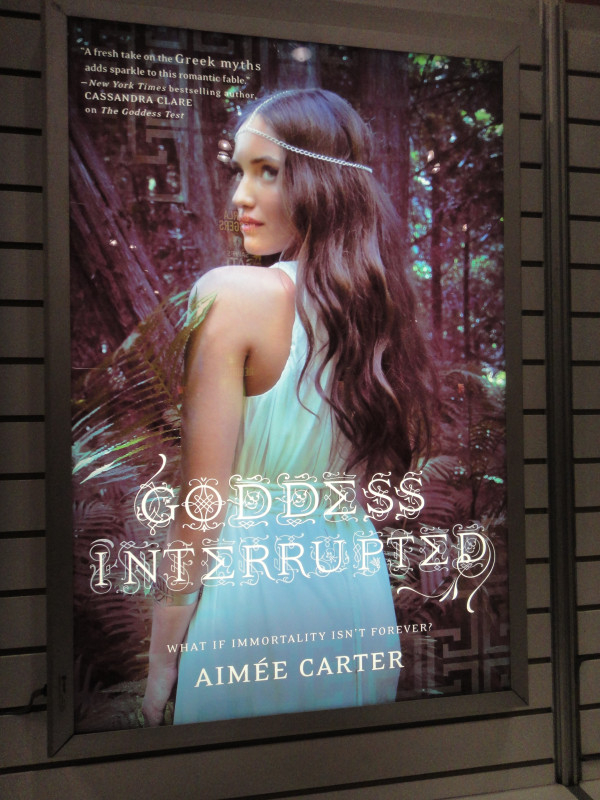 La bibliothèque de Lilie