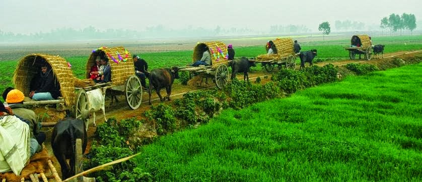 Rural Life Of Bangladesh