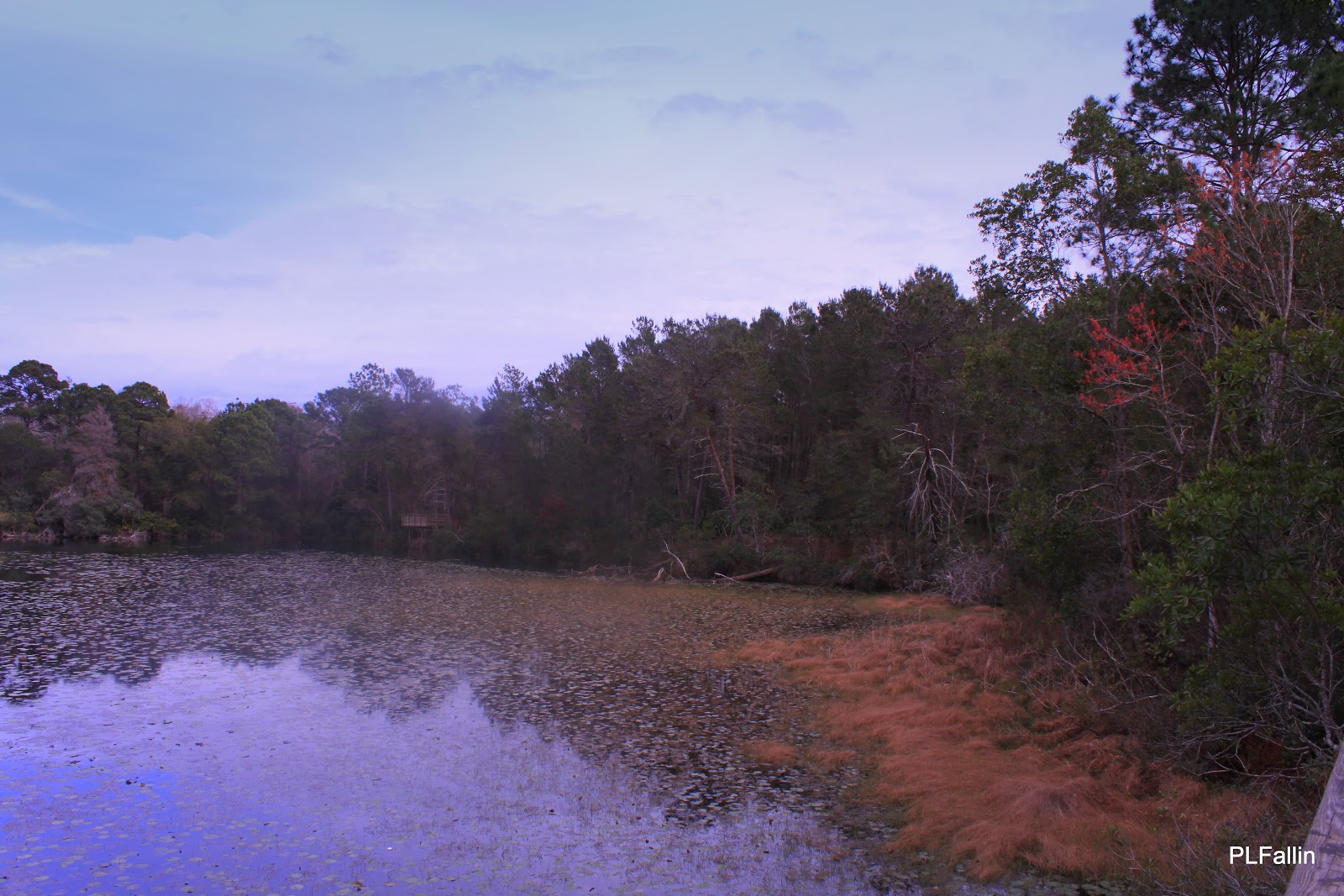 PL Fallin Photography: January 2013