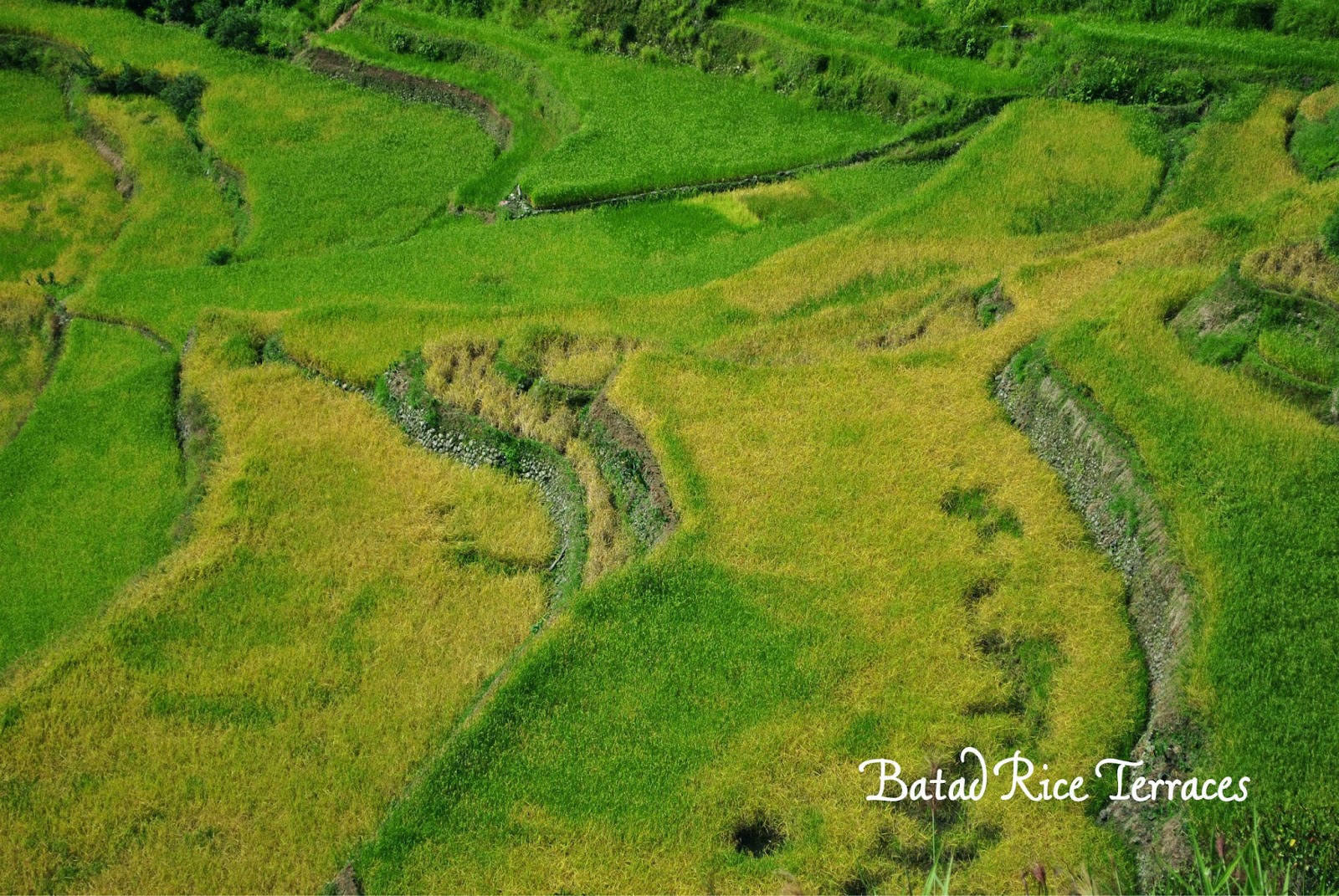 Backpacking Pilipinas: Top 30 Favorite Spots in the Philippines: 7 ...