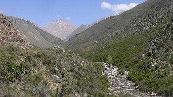 Vida en el Salar de Punta Negra
