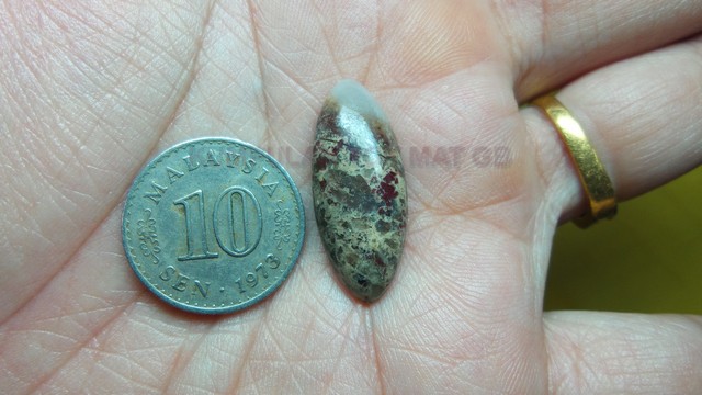 BLOG UTAMA Y.M PADUKA AYAHANDA PAY 8: GELIGA ULAR KATAM TEBU