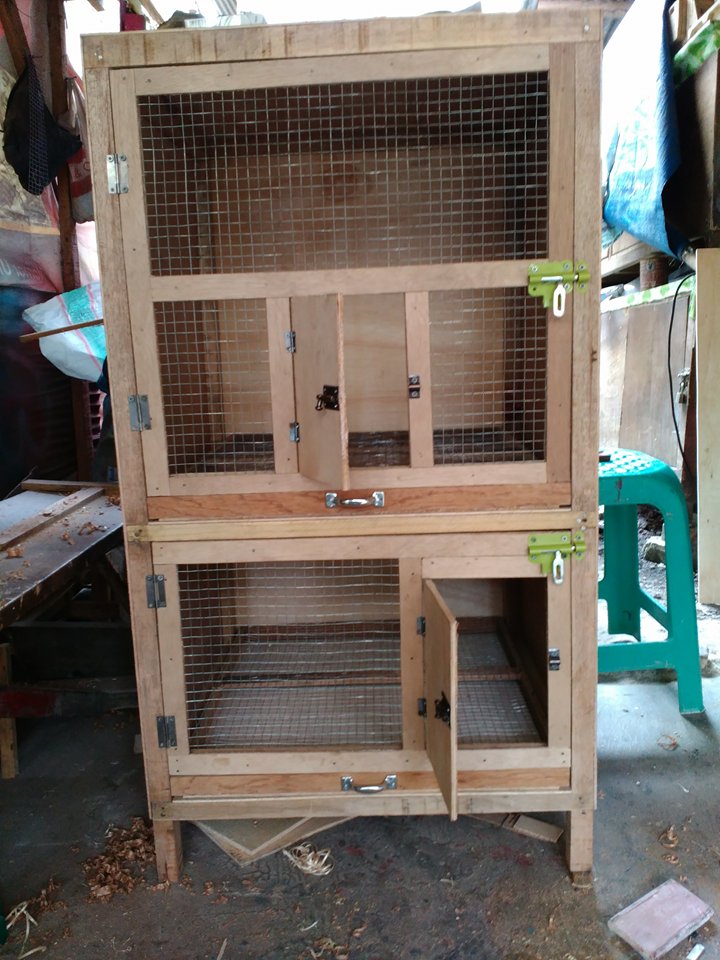 Harga Burung Merpati Balap Merpati Kandang Burung Gupon Pengrajin ...