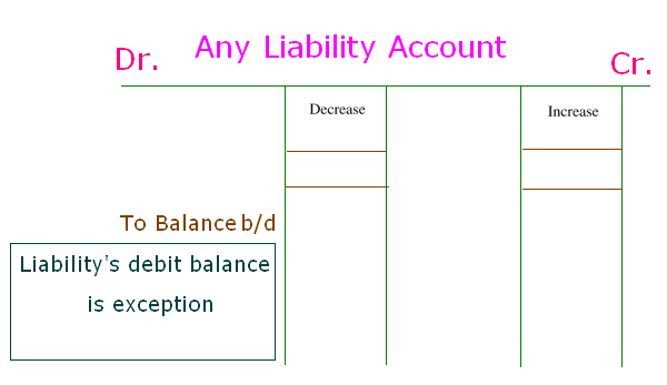 Why will Some Liabilities Accounts have a Debit Balance? | Accounting ...
