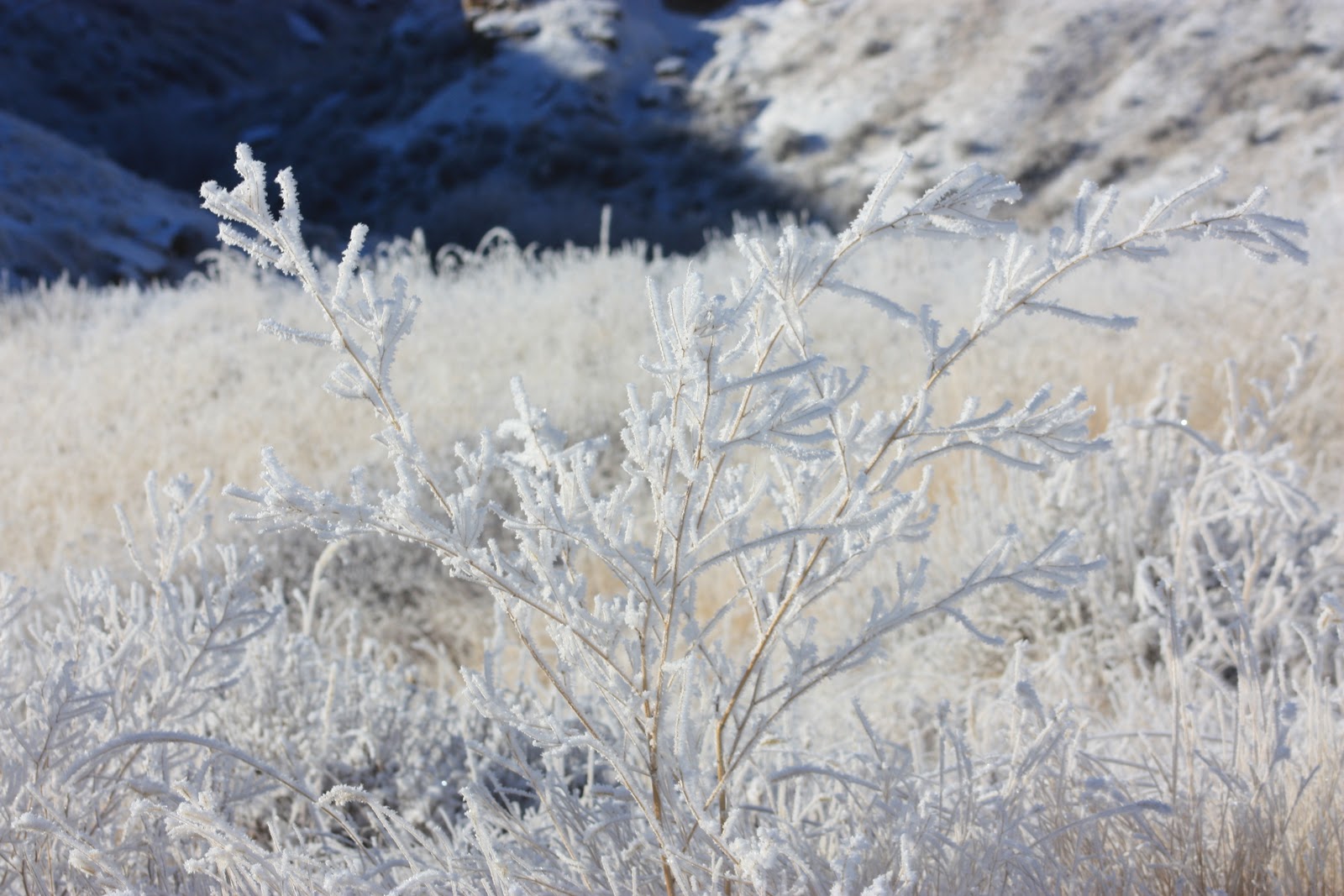 An Unfittie's Guide to Adventurous Travel: Our World Tuesday: snow and ...