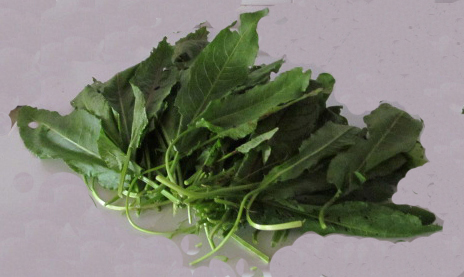 Alcoutim Livre: "Cozinha" de celgas "bravas"