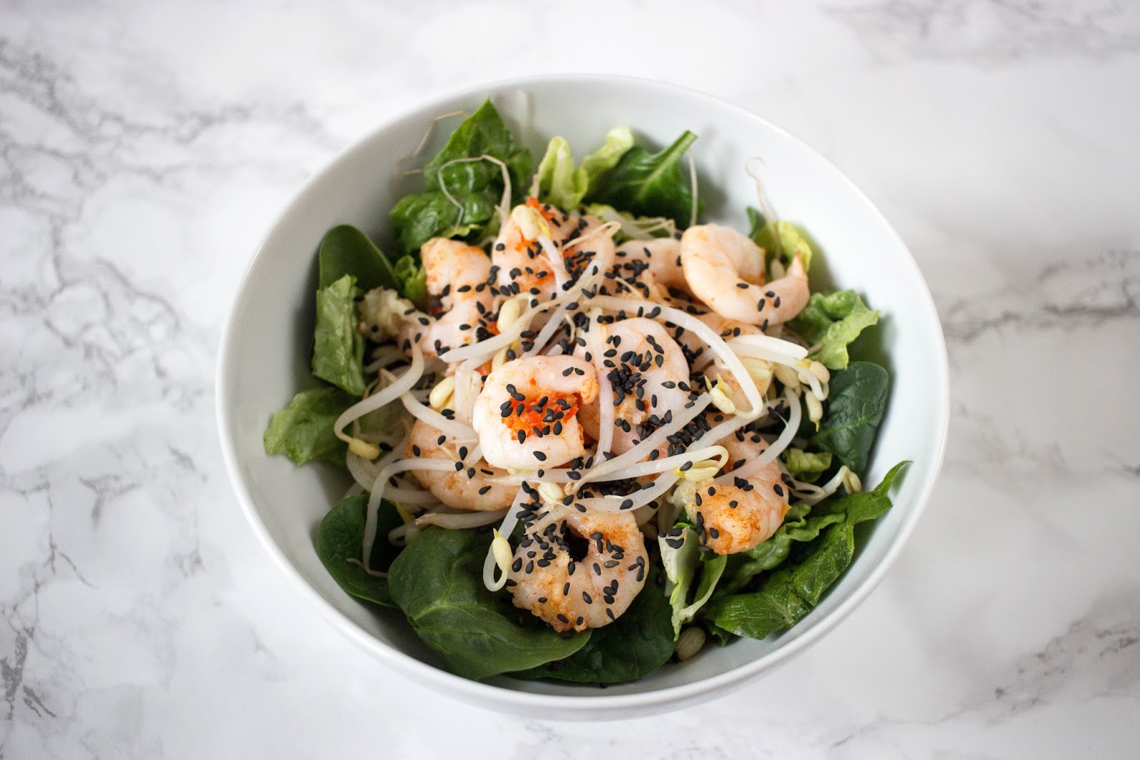 SHRIMP AND BEAN SPROUTS SALAD RECIPE — Style and Sushi