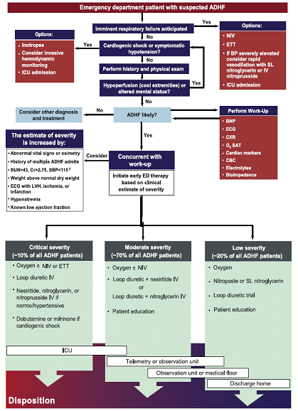 Welcome To Edi Ikhsan's Blog: ACUTE DECOMPENSATED HEART FAILURE (ADHF)