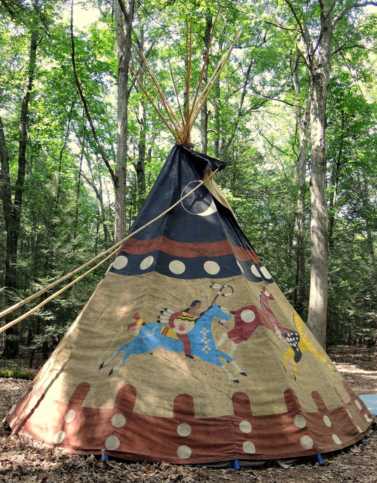 A Syncopated Home: Field Trip: Wesley Forest