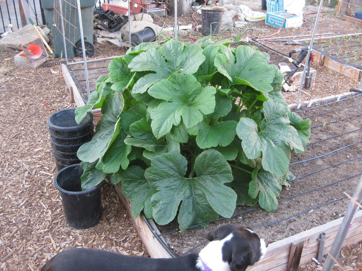 Striving Toward Sustainable