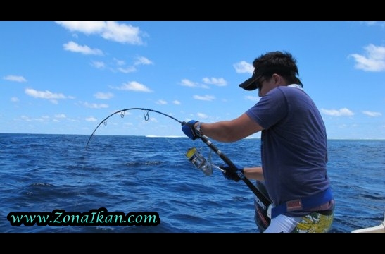 Teknik-Teknik Mancing di Laut | Tips Peternakan, Budidaya, dan Pertanian