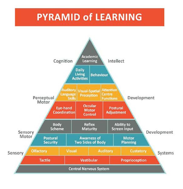 Öğrenme Piramidi(Pyramid of Learning)