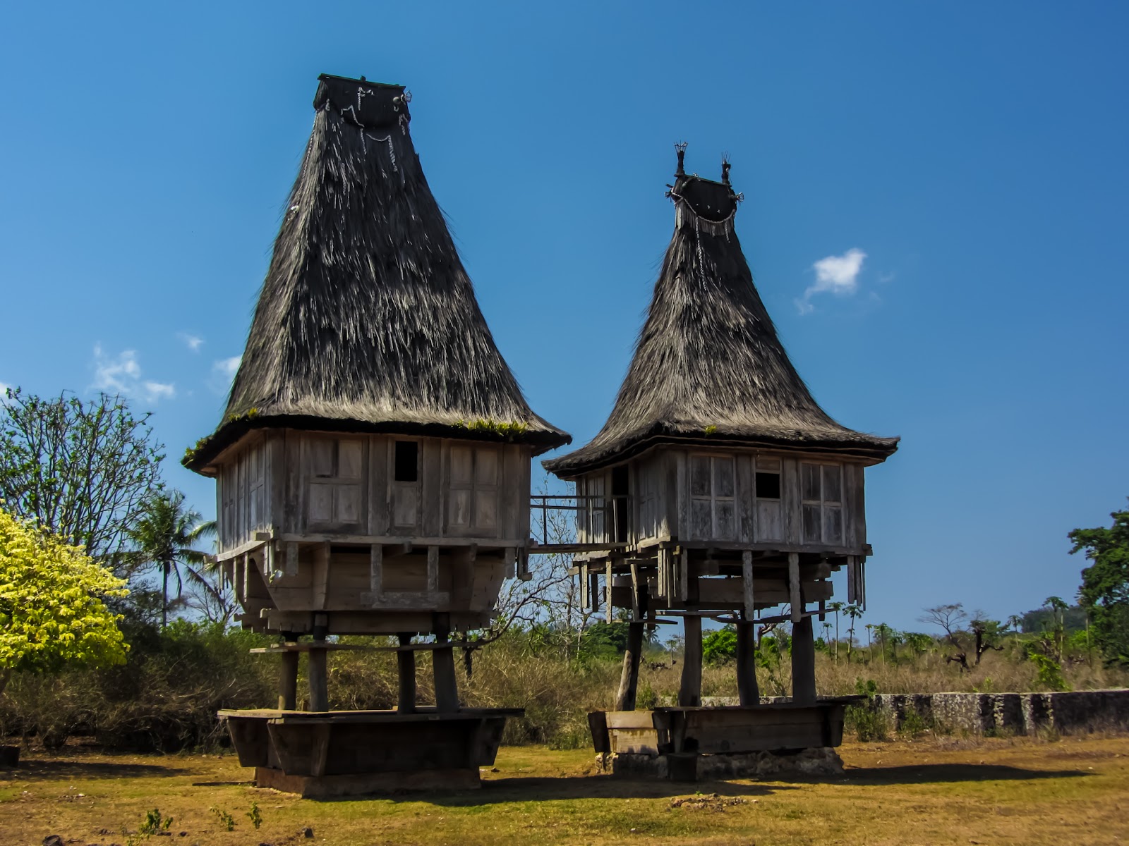 Timor-Leste - Corals can live above water - Sven's Travel Venues