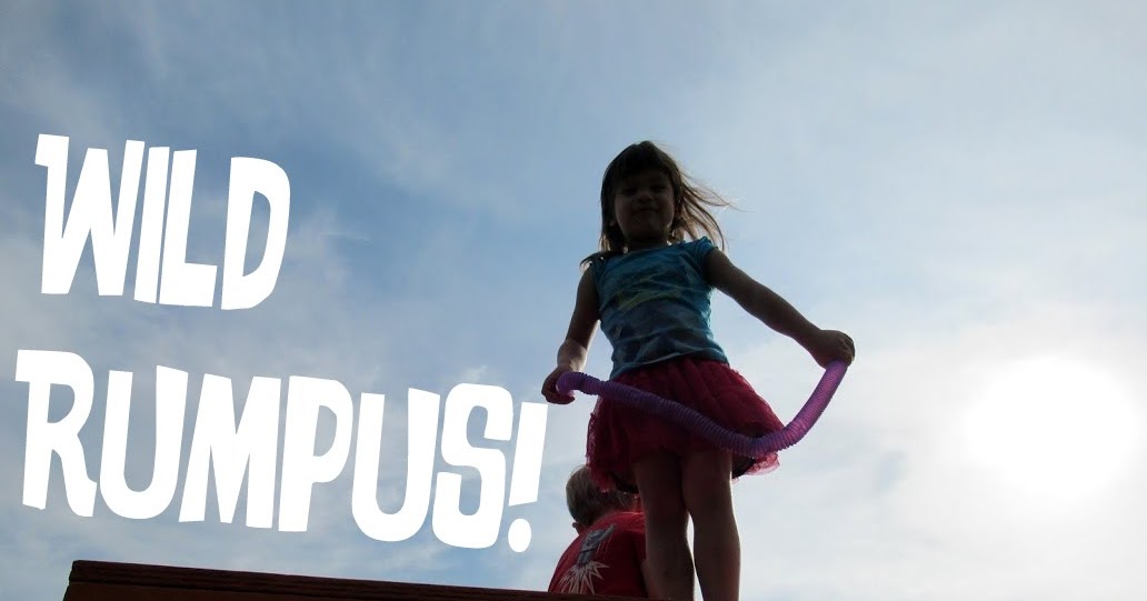 Wild Rumpus, week 8 (west side edition) : library makers